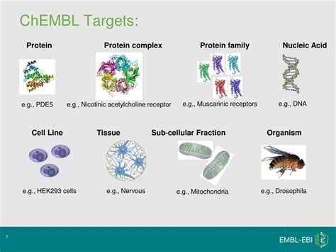 PPT Overview Of ChEMBL Database PowerPoint Presentation Free