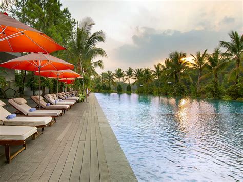 수영장 플라밍고 다이라이 리조트 한국 공식 웹사이트