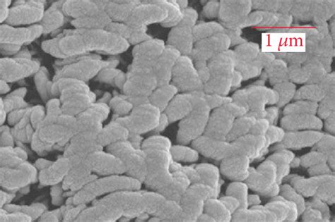 the sem top view micrographs of fabricated a sio2 ti ptdig cnws 1050