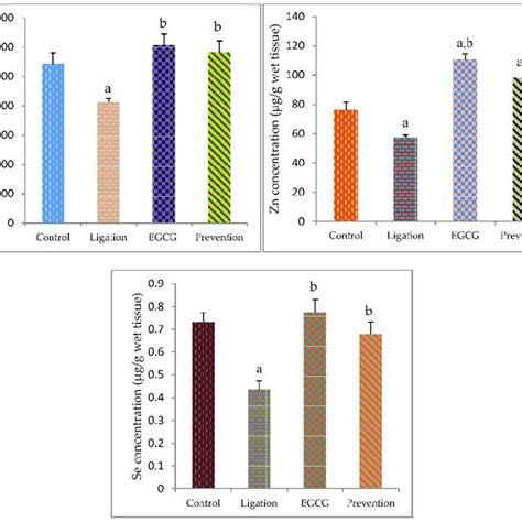 Concentration of essential element Mg, Zn, and Se in the brain cortex ...
