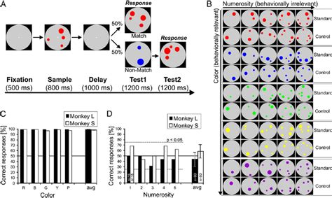 Task Protocol And Behavioral Performance A Delayed Match To Color Download Scientific