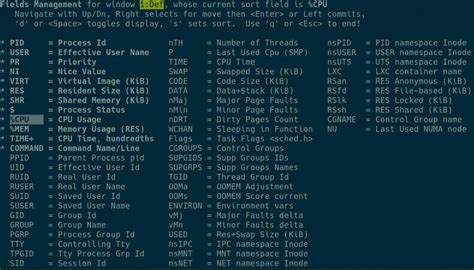 Top Command A Best Tool To Monitor Linux System Performance 2daygeek