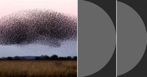 List Optmization Curated By Stefan Swoboda Medium