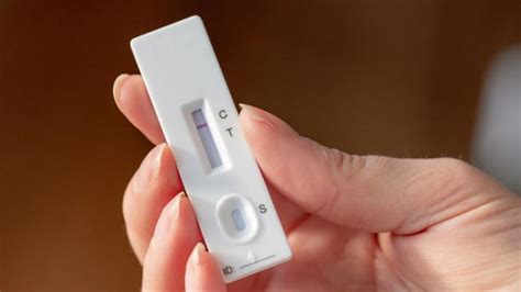 Understanding The Lateral Flow Test Cassette How It Works And Why It