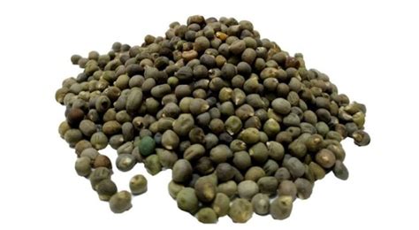 Bamya Tohumu Nasıl Kullanılır En Kısası