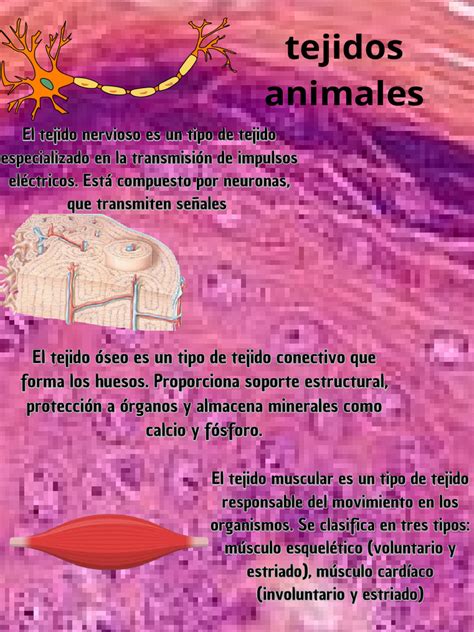 Añadir Un Poco de Texto | PDF