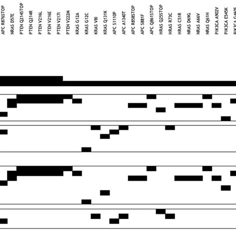 Gene Map Representing All Gene Mutation Status Available For The 12