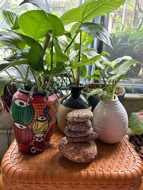 Anisha Sarkar On Linkedin Life Is All About Balance ️🌿
