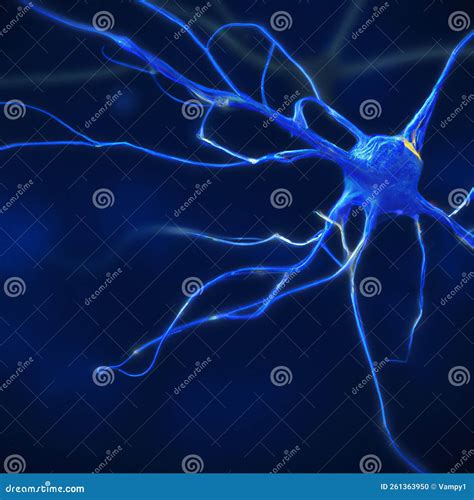 Microscopic View Of Neurons Brain Connections Synapses Stock Illustration Illustration Of