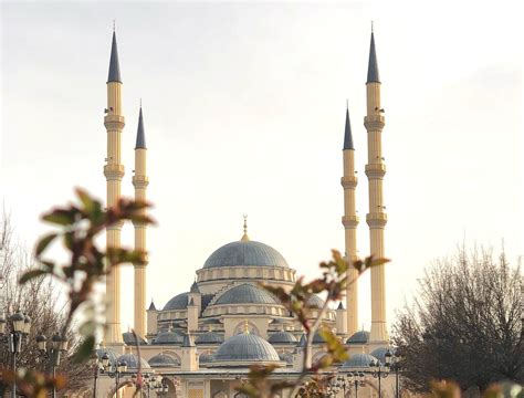 Парень не вешай нос жизнь продолжается Ибрагим Эстамиров Проза ру