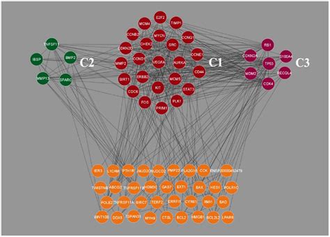 Clustering Analysis Of Osteosarcoma Gene Interaction Network Using