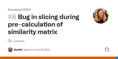 Bug In Slicing During Pre Calculation Of Similarity Matrix · Issue 6 · Mouradoststgm · Github