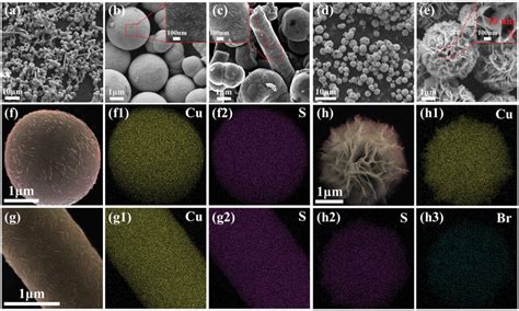 Sem Images And Eds Mapping Patterns Of The As Prepared A C F G Cus