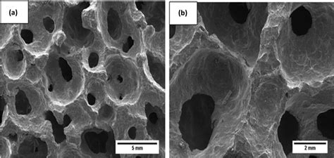 microstructure of amf with different magnifications a 7x and b 20x