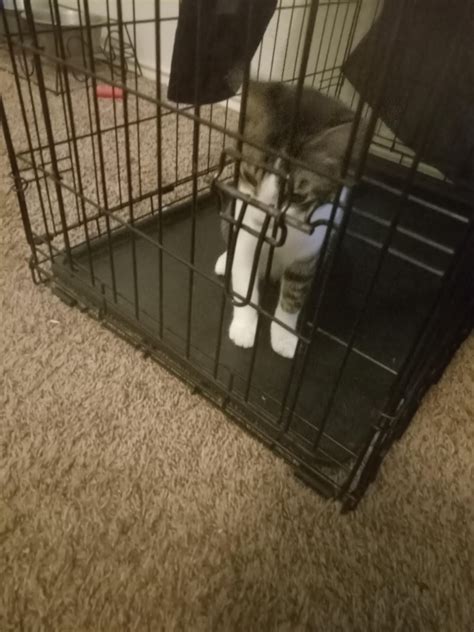 He Doesnt Know Its Unlocked Raww