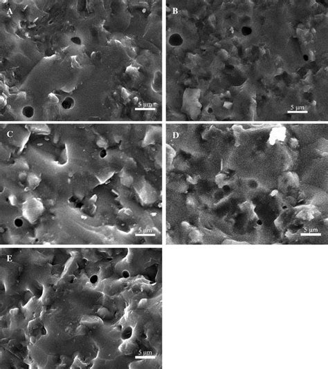 Sem Micrographs Of Sintering Bodies Cross Sections With Different Download Scientific Diagram