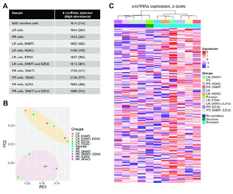 Genome Wide Circrna Expression Patterns Reflect Imid Sensitivity In