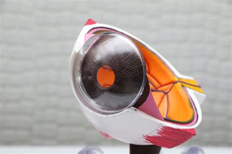 Welcome Southland Eye Clinic