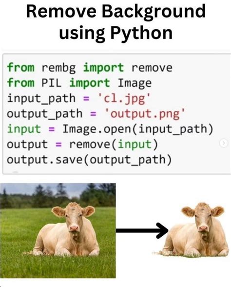 How To Remove Background Using Python Dmitry Fyodorov Posted On The Topic Linkedin