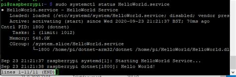 How To Run A Net Core Console Application On A Raspberry Pi Docubear