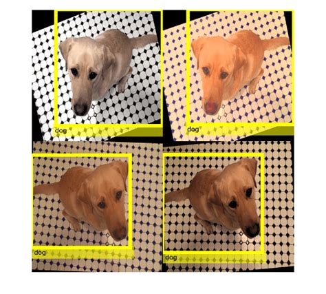 Augment Bounding Boxes For Object Detection Matlab And Simulink