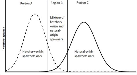 Schematic Of Temporal Spawning Overlap Between Segregated Hatchery