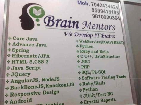 Brain Mentors Pvt Ltd Rohini North Delhi Fees Reviews Batches