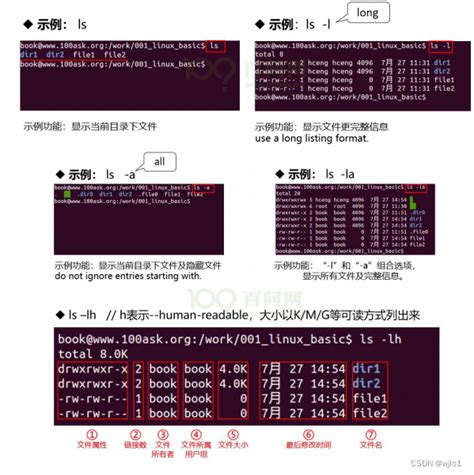 Linux常用命令笔记 Csdn博客