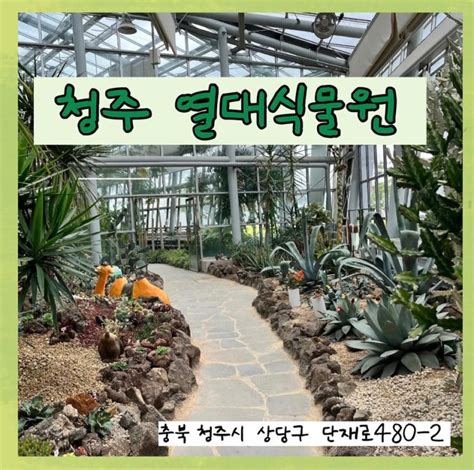 🌴청주에도 열대식물원이 있구나 유기농산업복합서비스지원단지 열대식물원 네이버 블로그