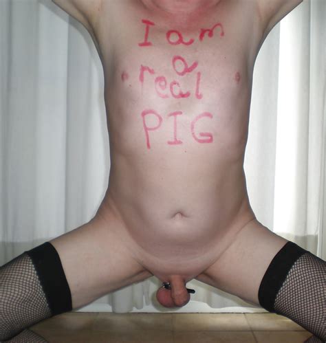Real Pig For Master Mistress Porn Pictures Xxx Photos Sex Images 2031016 Pictoa Real Pig For Master Mistress Porn Pictures Xxx Photos Sex Images 2031016 Pictoa