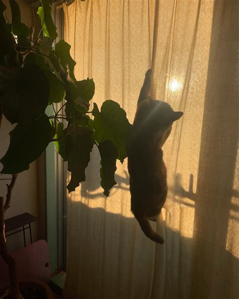 Photo Posted By Shin Mikami Mikami