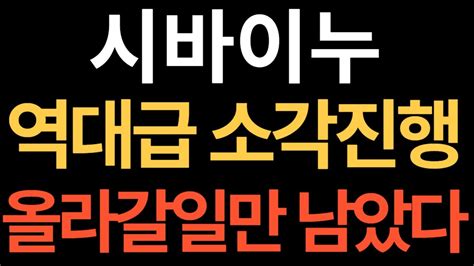 시바이누 시바인우코인 올라갈일만 남았어요 역대급 소각진행됩니다 시바이누 시바이누코인 Youtube