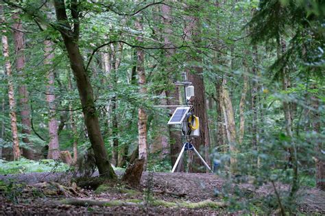 Data Logger Mike Bell And Catrina James Sensing The Forest