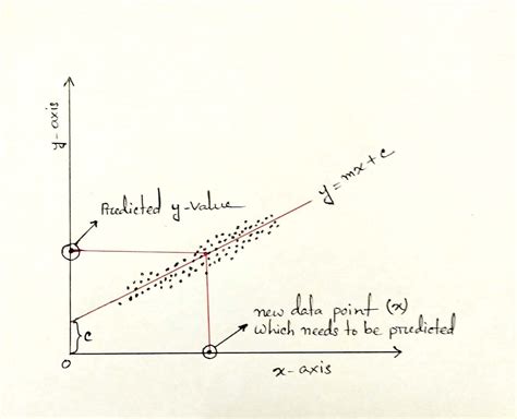 Ridge And Lasso Regression Insights Into Regularization Techniques