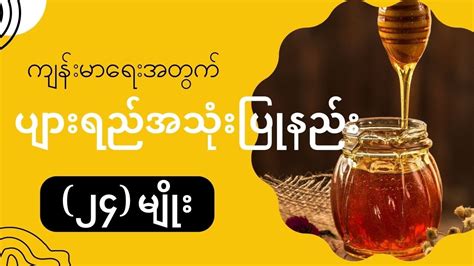 ကျန်းမာရေးအတွက်ပျားရည်အသုံးပြုနည်း ၂၄ မျိုး Youtube