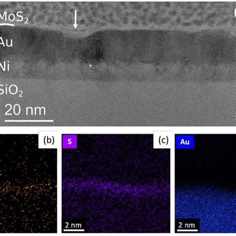 A Low Magnification Tem Analysis Of The Monolayer Mos2 Membrane On
