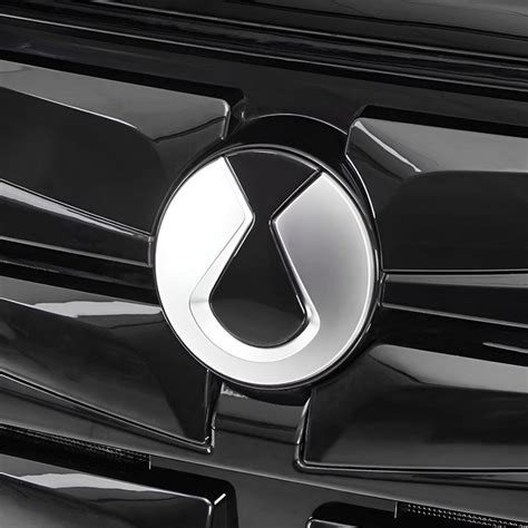 Front Emblem Decal For Denza Top Denza