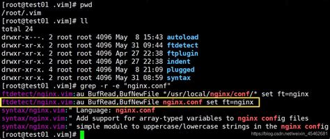 Nginx Conf文件vim语法高亮问题vim R Nf Csdn博客
