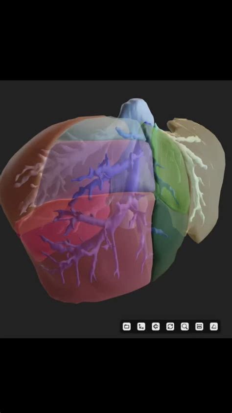 Soyoung Lim Threejs 3dmedical Medicalvisualisation Web Shader의 세상은