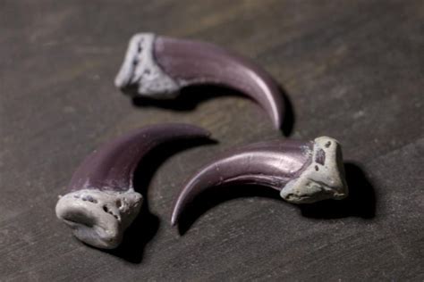 Wolf Claw Replica Folkenstal Props And Replicas
