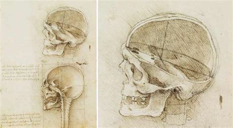 How To Draw A Skull Anatomy Course For Artists
