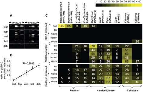 Comprehensive Microarray Polymer Profiling Compp Of Acromyrmex