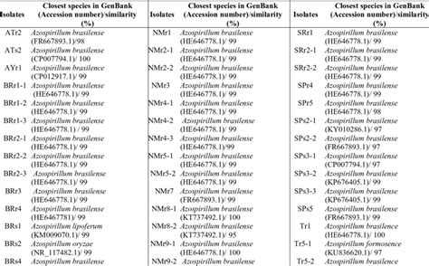 Identification Based On 16s Rdna Sequences Of Various Azospirillum