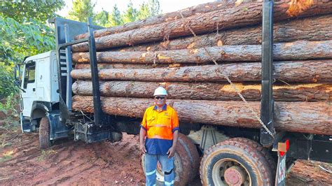 Forest Logging ITaukei Land Trust Board TLTB