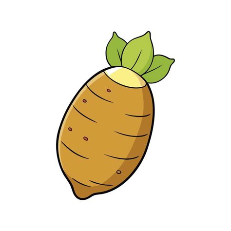 Bright Taro Root On Clean White Surface 58245056 Vector Art At Vecteezy