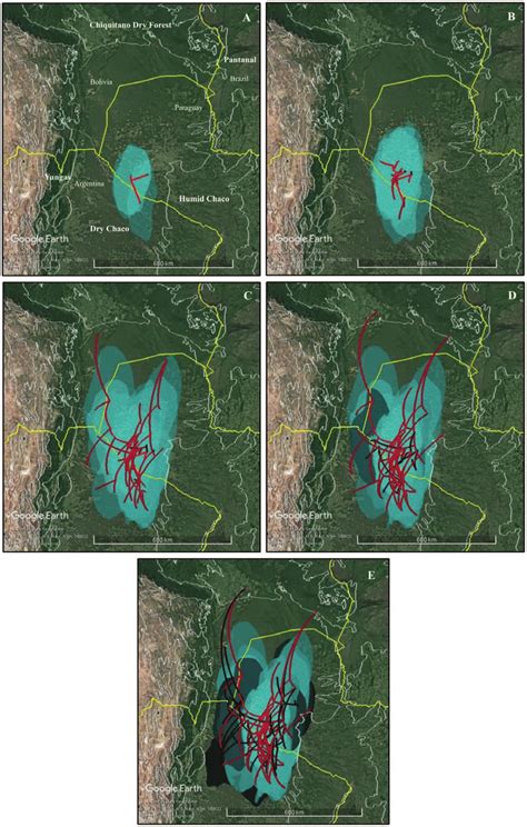 Bayesian Spatio Temporal Diffusion Analysis Of Bulnesia Sarmientoi Download Scientific Diagram
