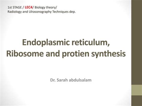 Lec 4 Bio اشعةpptx