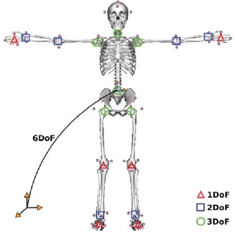 Figure 2 From Human Like Gait Generation From A Reduced Set Of Tasks Using The Hierarchical