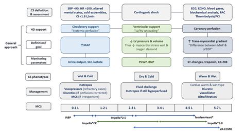 Management Approach To Cardiogenic Shock Bnp Brain Natriuretic