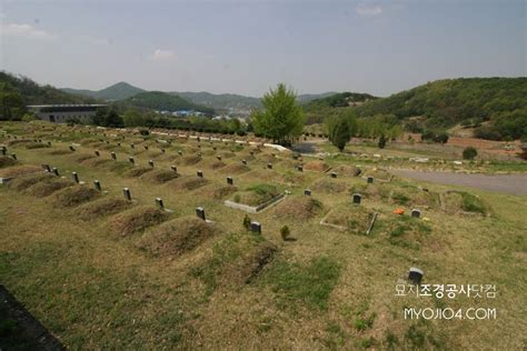 파주시 광탄면 소재 용미리 제2묘지의 전경입니다 시공사례 묘지조경공사닷컴 벽제묘지 용미리묘지 전문